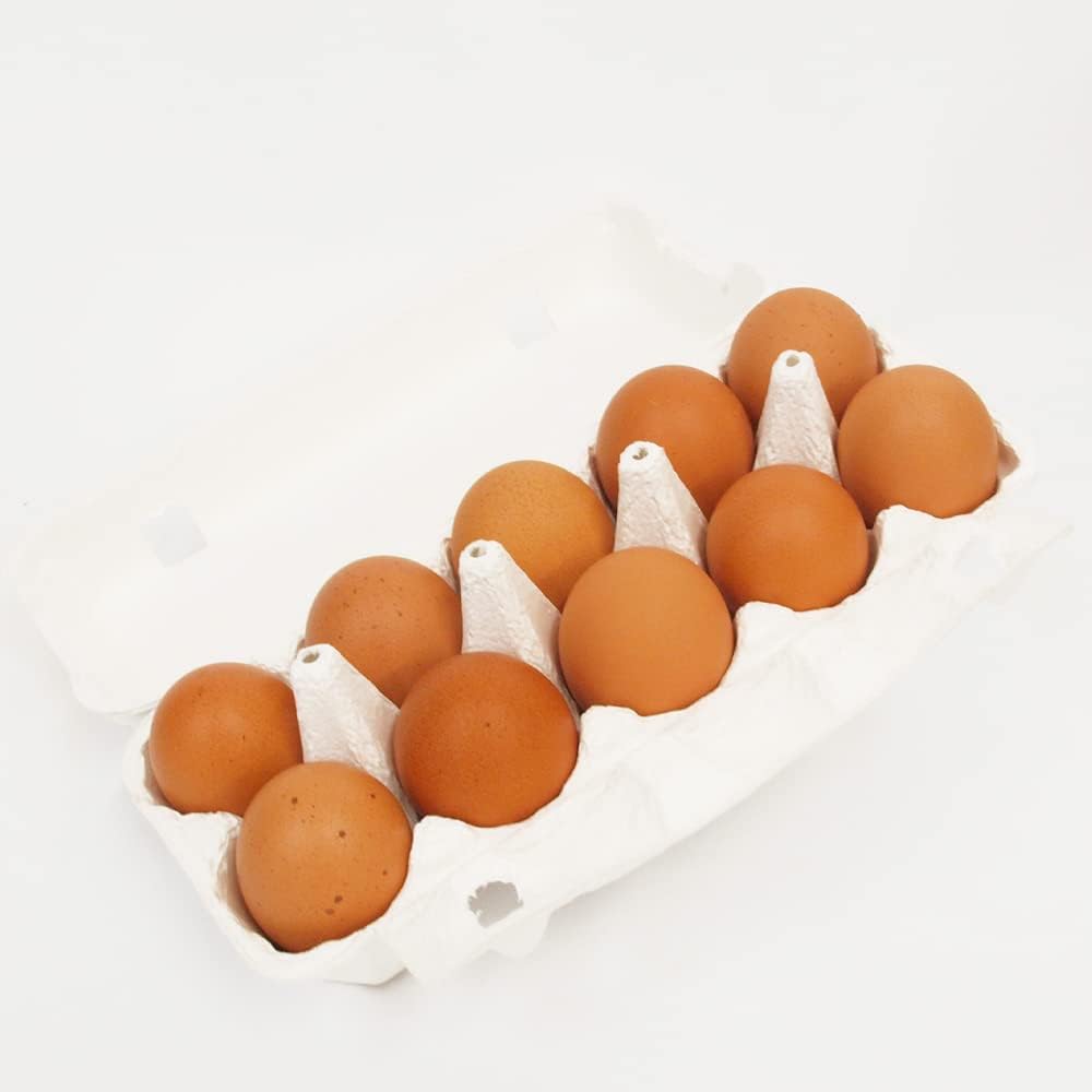 10Pcs Fresh Egg | Fuji Company | SHIP IT